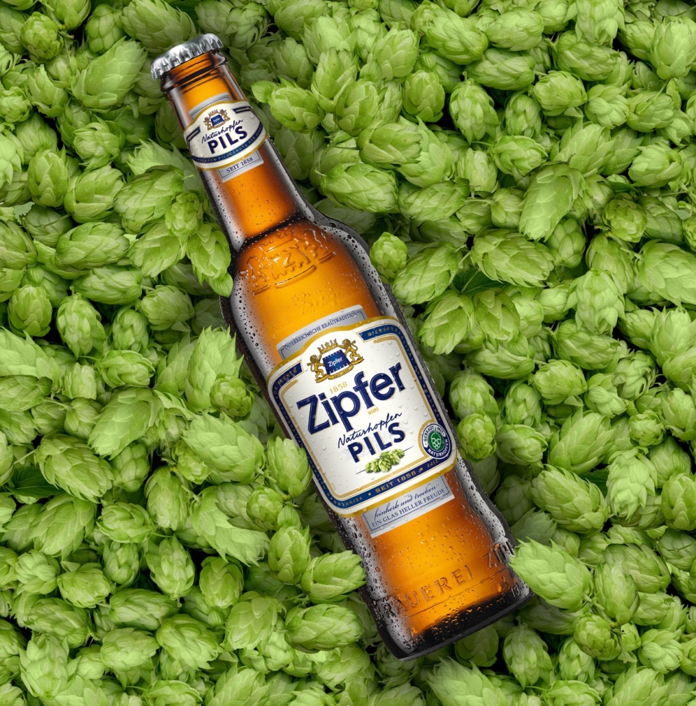 zipfer-naturhopfen-pils-ref-einst - Pichler & Gattringer Grafikdesign GmbH